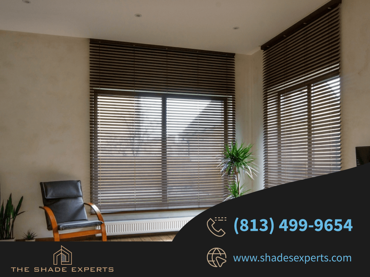 The Transformative Power of Motorized Shades in Tampa