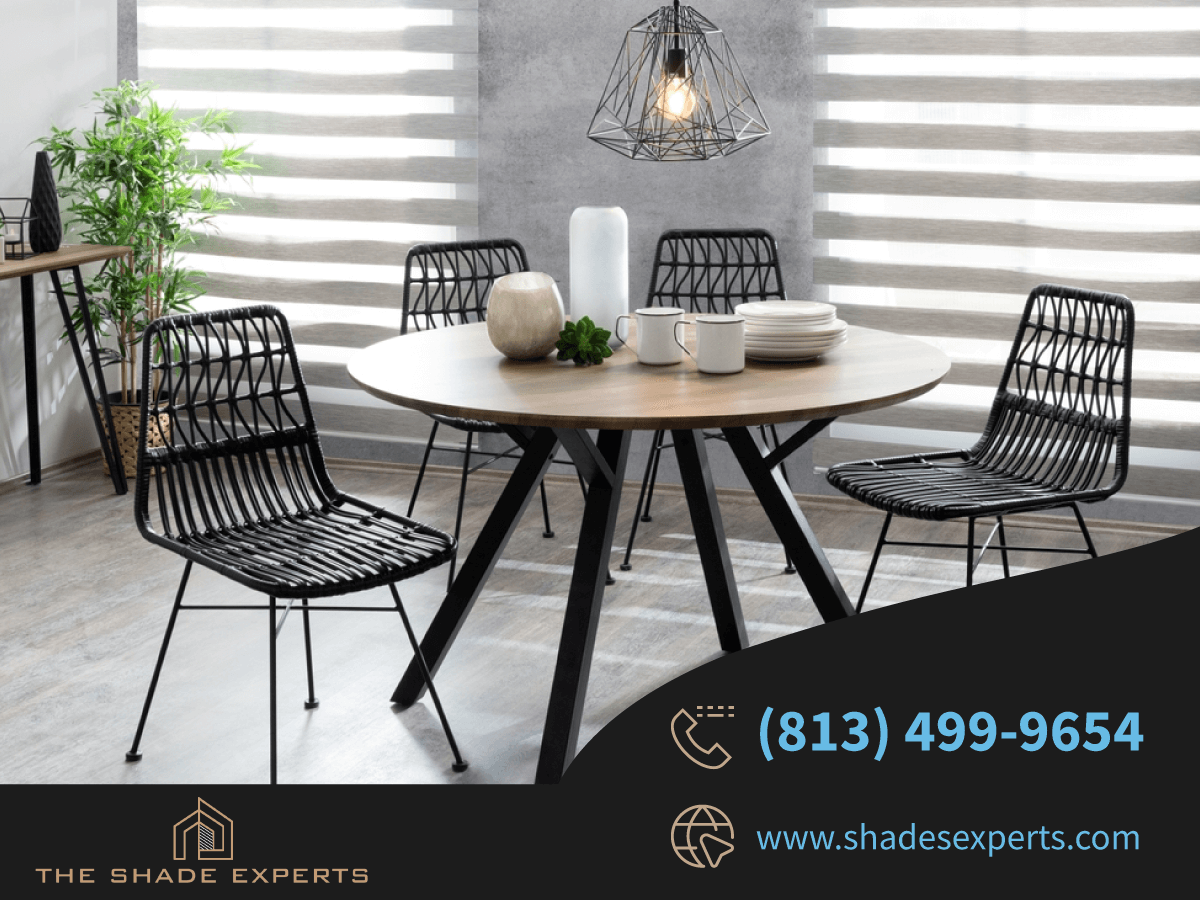 Your Space with Elegance: The Allure of Zebra Blinds in Tampa